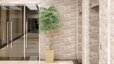 What Are Homogeneous Tiles? Benefits, Uses & Myths Explained