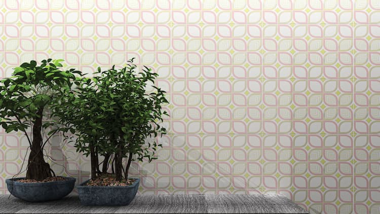 How to Remove Scratches from Ceramic Tiles | Ceramic Tiles Repair