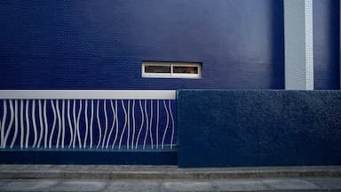 What Are Homogeneous Tiles? Benefits, Uses & Myths Explained